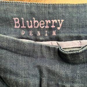 Blueberry | Jeans | Blueberry Midrise Pullon Size 2 Jeans | Poshmark